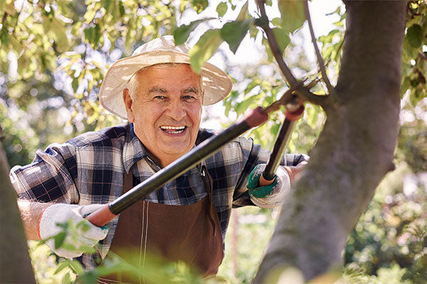 Blogs – Tagged "tree care" – Environmental Factor | Canada's Leader In ...